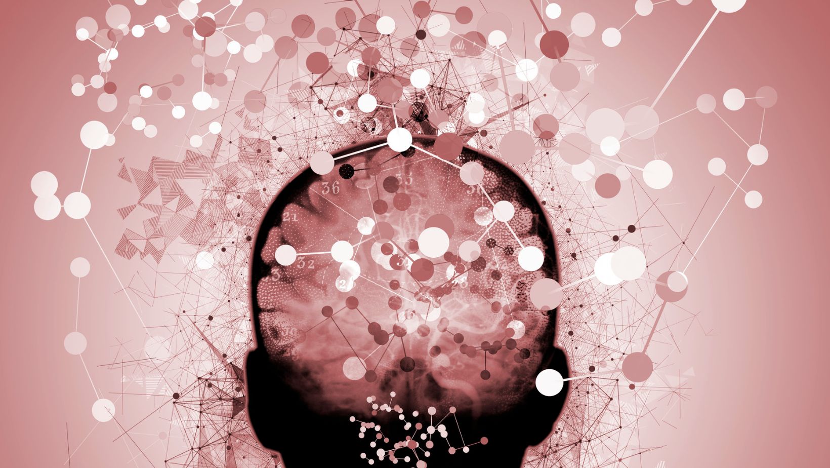 Enhancing Your Illustrator Skills How To Make A Dotted Line In